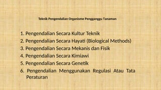 MODEL TEKNIK PENGENDALIAN OPT PADA TANAMAN | PPTX
