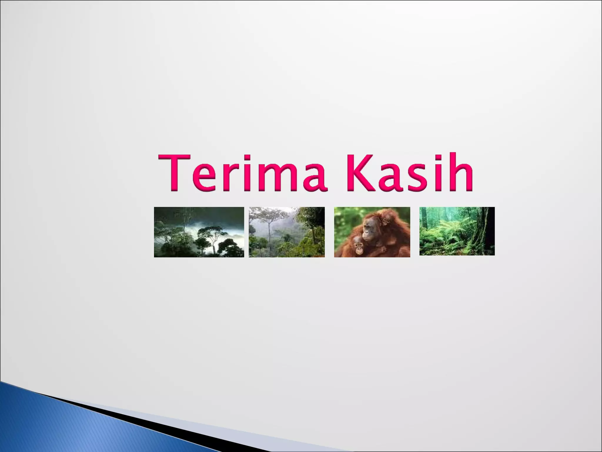 Model tenurial dalam unit manajemen kph | PPT