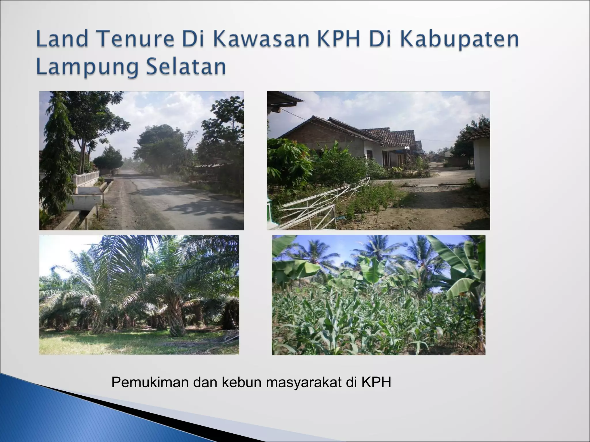 Model tenurial dalam unit manajemen kph | PPT