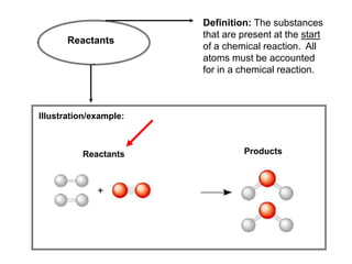 Model vocabulary book photosynthesis | PPT