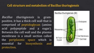 Mode of action of BT Bacillus thuringiensis (Bt) produce.pptx