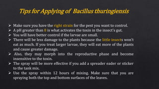 Mode of action of BT Bacillus thuringiensis (Bt) produce.pptx