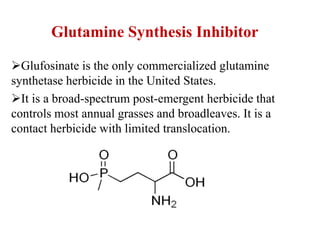 Mode of action of herbicides | PPTX