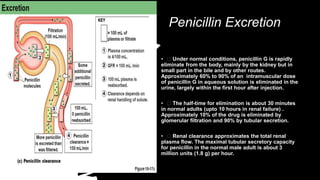 Mode of action of penicillin | PPTX