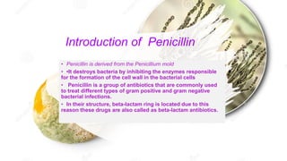 Mode of action of penicillin | PPTX