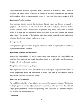 Mode of action of plant pathogens | DOCX