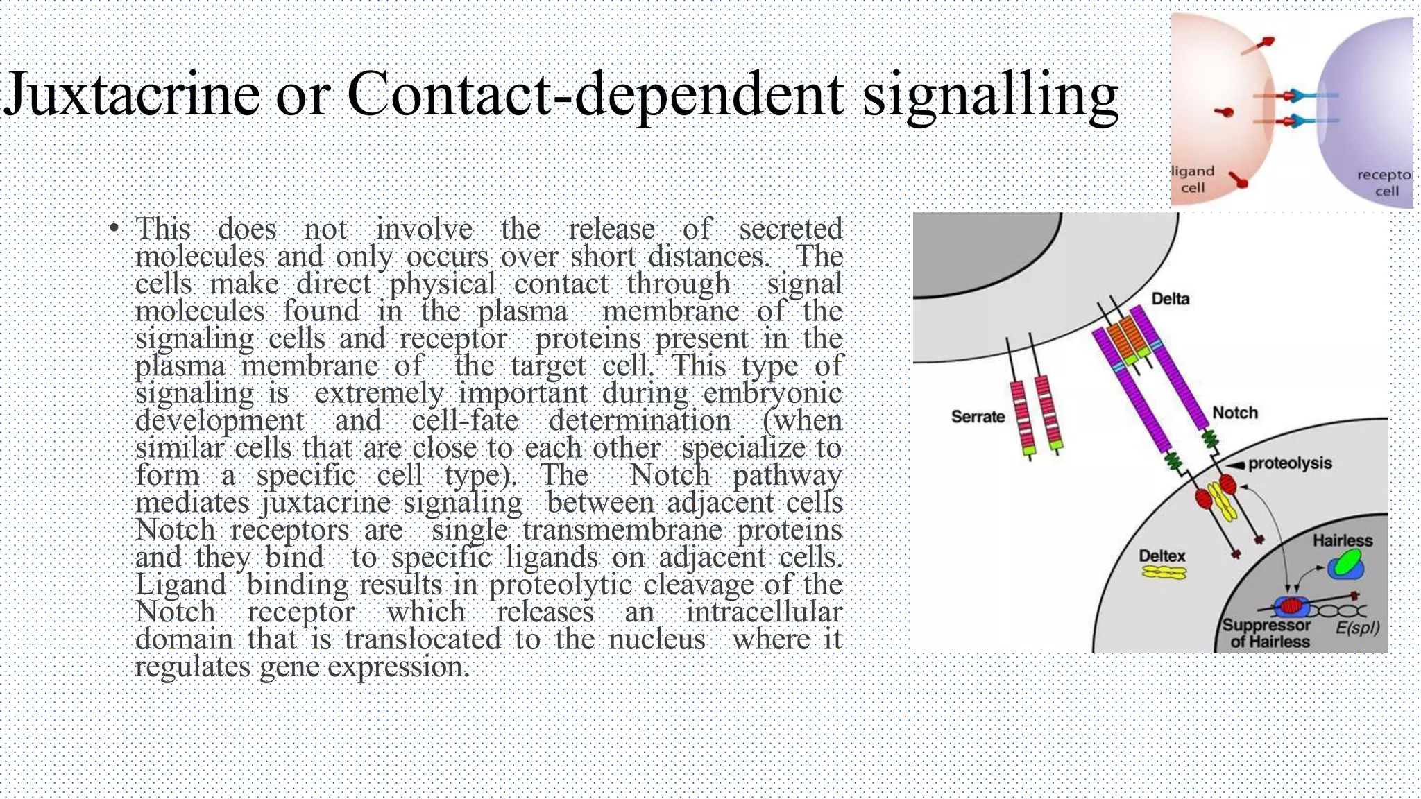 Mode of cell signaling Mechanism | PPTX
