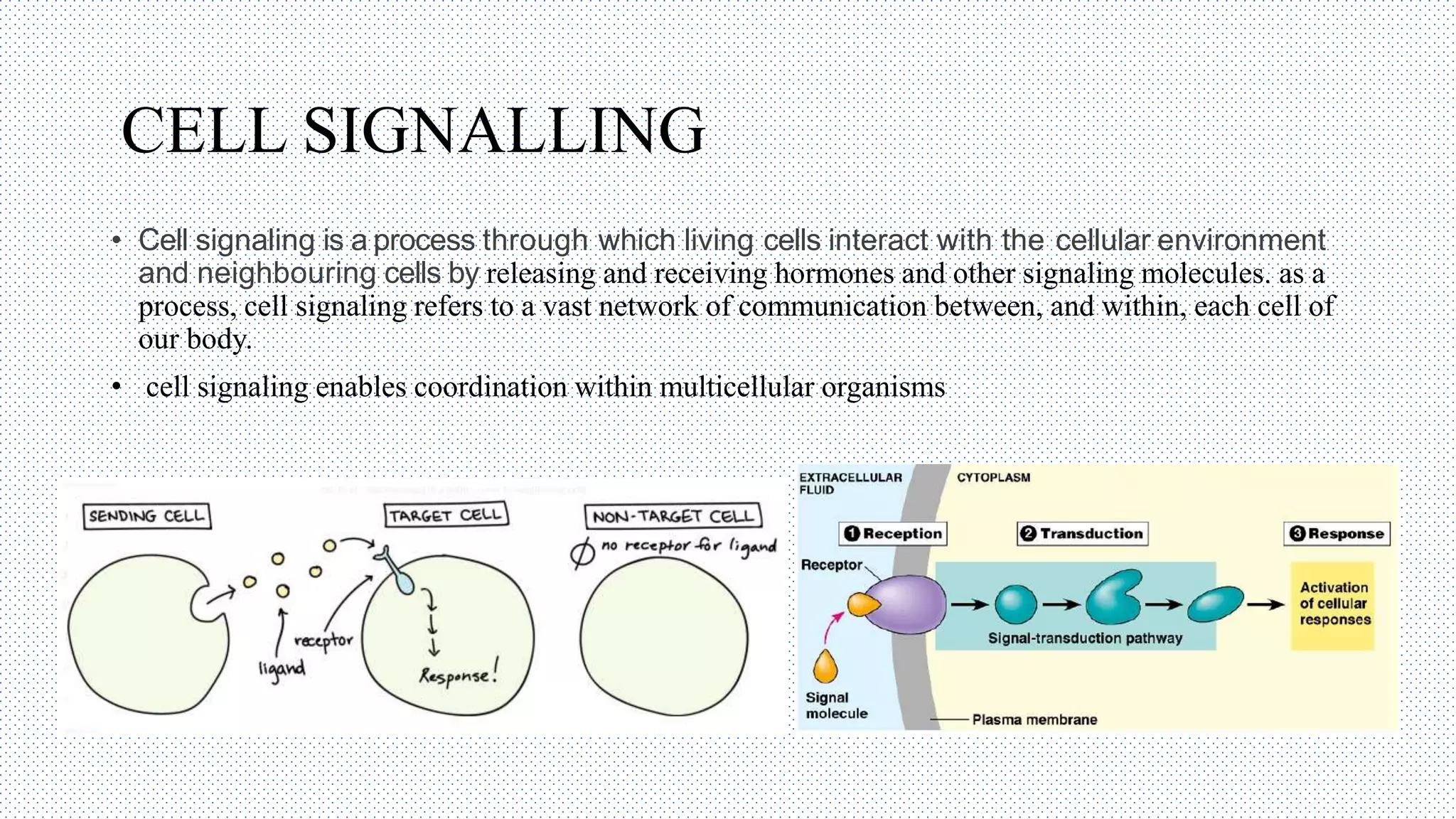Mode of cell signaling Mechanism | PPTX