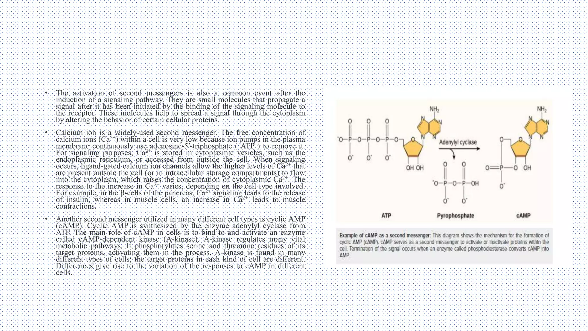 Mode of cell signaling Mechanism | PPTX