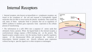 Mode of cell signaling Mechanism | PPTX
