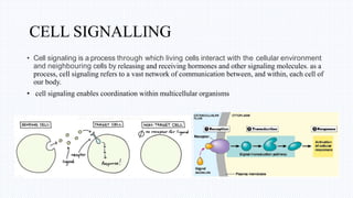Mode of cell signaling Mechanism | PPTX