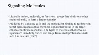 Mode of cell signaling Mechanism | PPTX