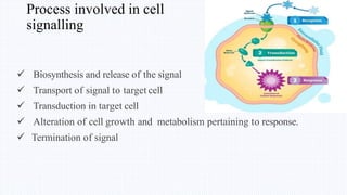 Mode of cell signaling Mechanism | PPT