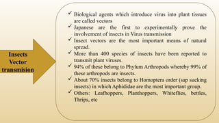 Mode Of Dispersal Of Viral Disease On Plants.pptx