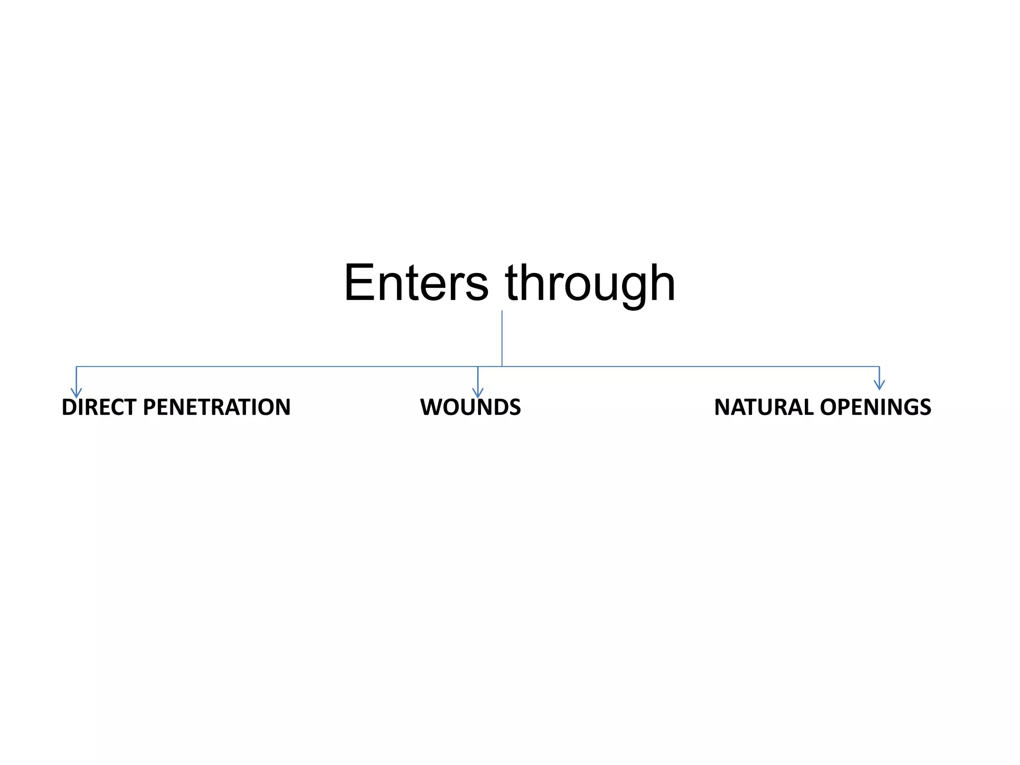 Mode of entry of plant pathogen | PPTX
