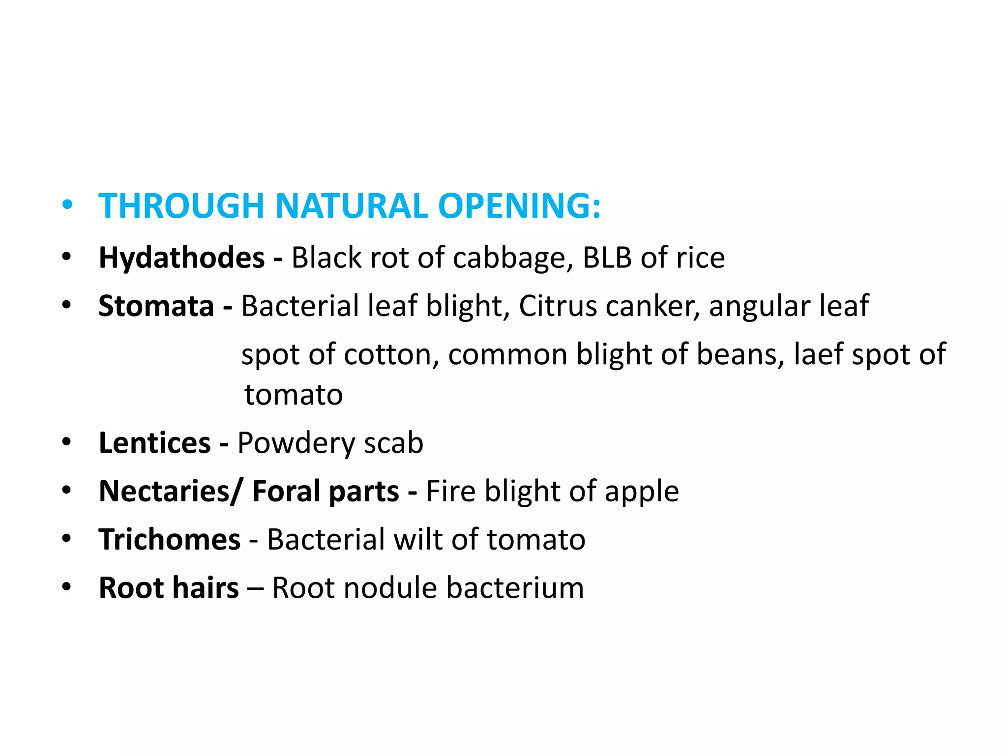 Mode of entry of plant pathogen | PPTX