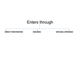 Mode of entry of plant pathogen | PPTX
