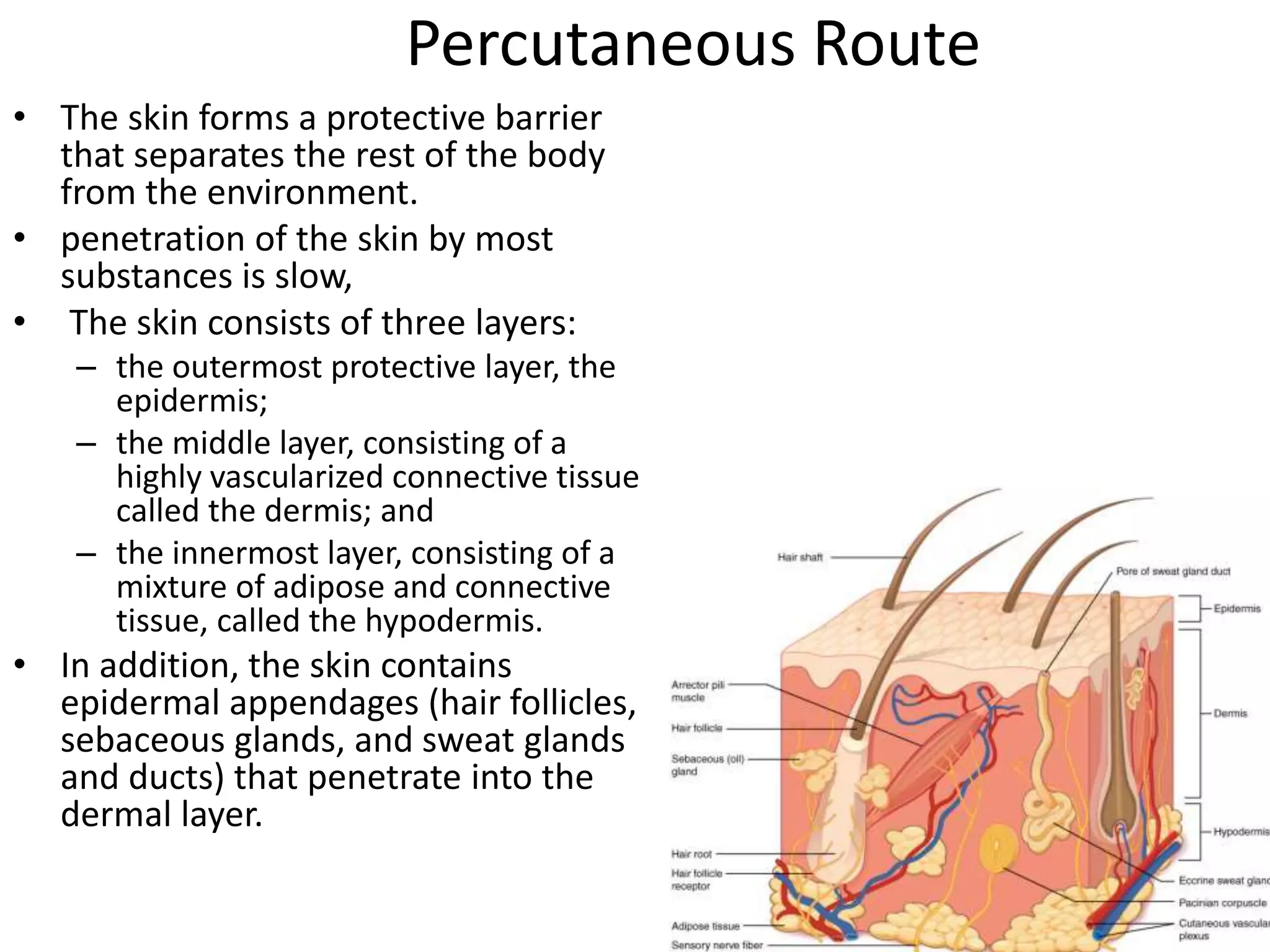 Mode of entry of toxins | PPTX