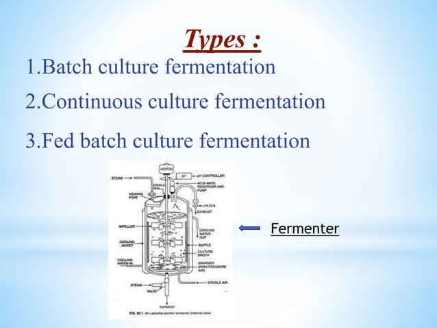 Modes of fermentation | PPTX | Chemistry | Science