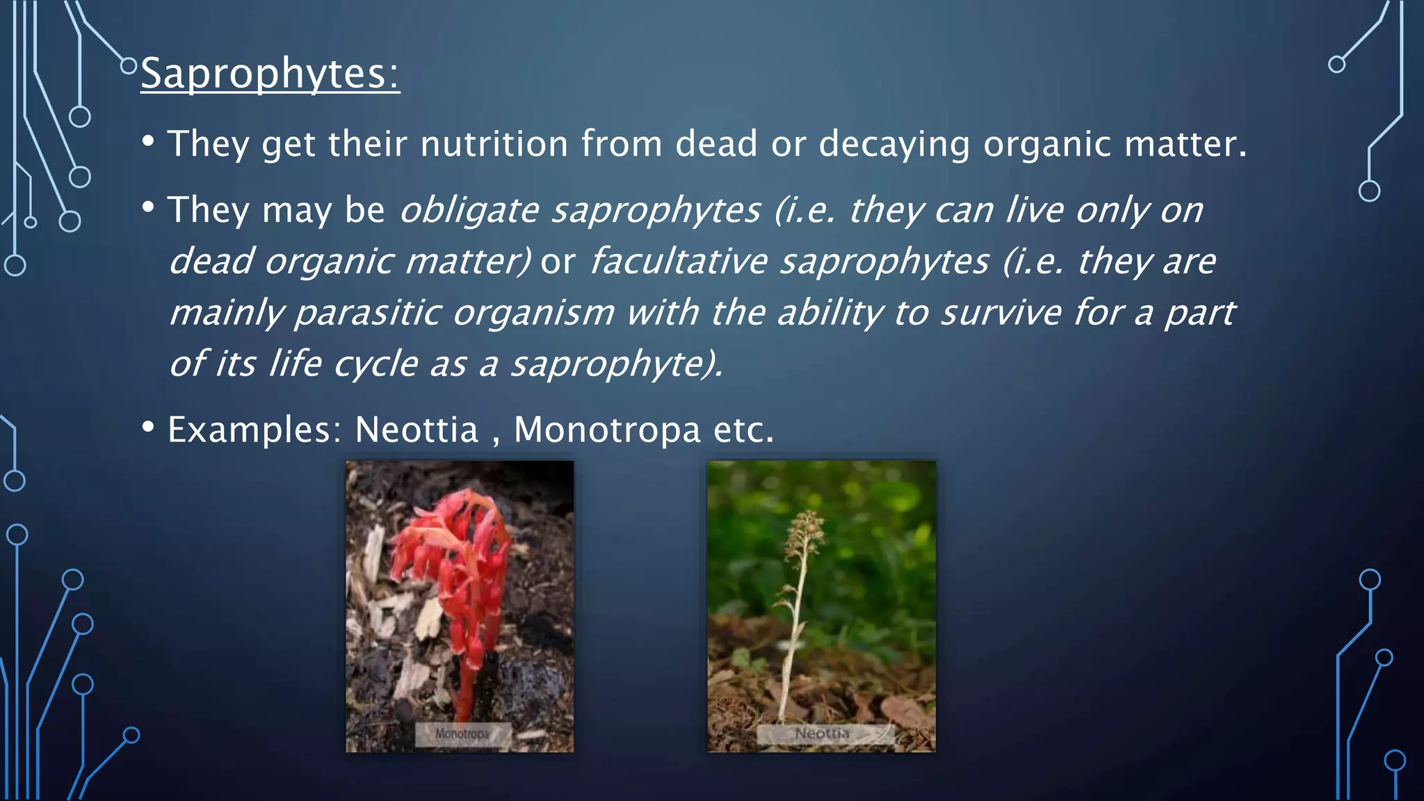 Mode of Nutrition in Plants | PPTX