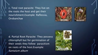 Mode of Nutrition in Plants | PPTX