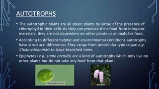 Mode of Nutrition in Plants | PPTX
