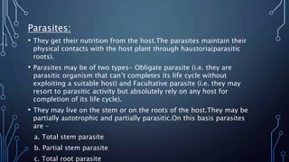 Mode of Nutrition in Plants | PPTX