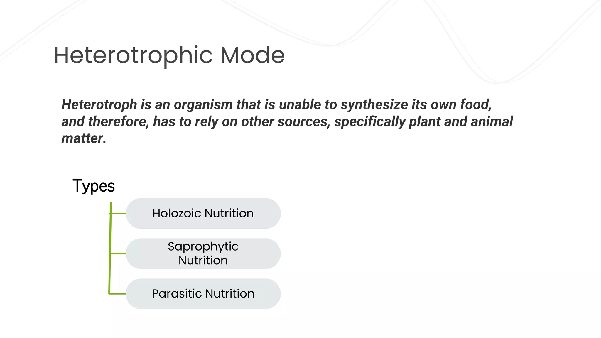 Mode of nutrition.pptx