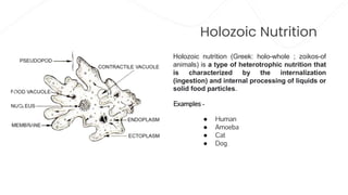 Mode of nutrition.pptx
