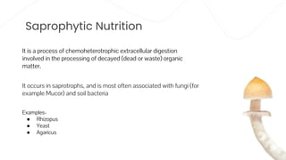 Mode of nutrition.pptx
