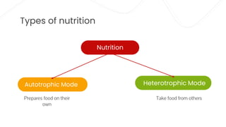 Mode of nutrition.pptx