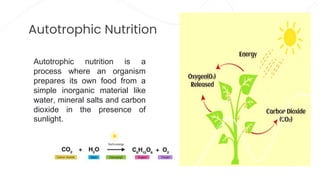 Mode of nutrition.pptx