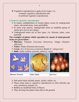 Mode of reproduction | PDF