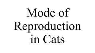 Science 5 -Mode of Reproduction in Cats, .pptx