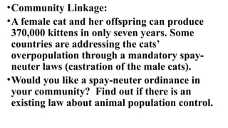 Science 5 -Mode of Reproduction in Cats, .pptx