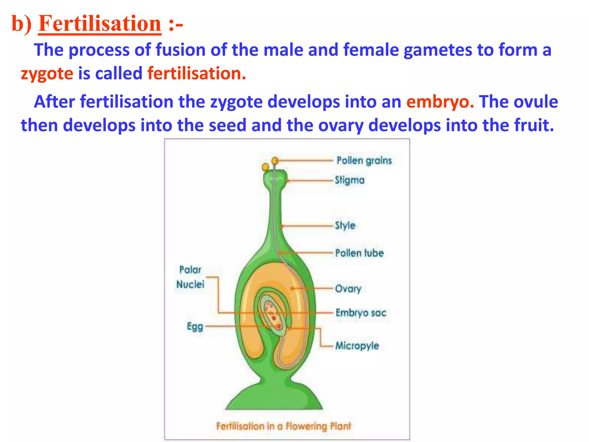 Mode of reproduction in plants | PPTX
