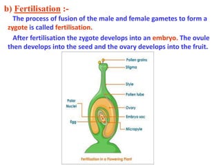 Mode of reproduction in plants | PPTX