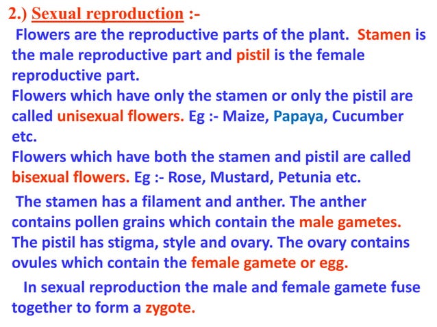 Mode of reproduction in plants | PPTX