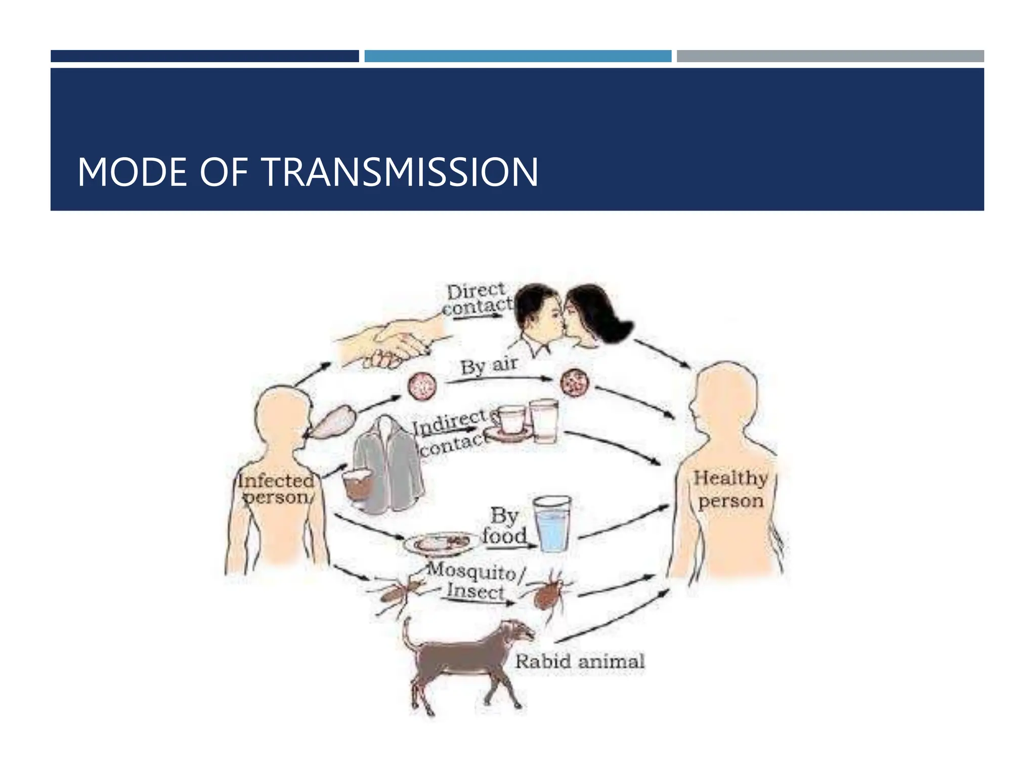 Modes of transmission of diseases m .pptx