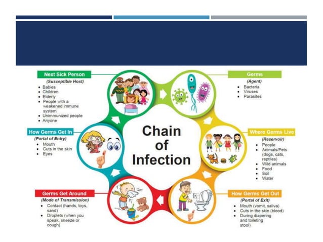 Modes of transmission of diseases m .pptx | Infectious Diseases ...