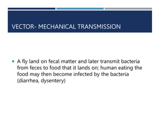 Modes of transmission of diseases m .pptx