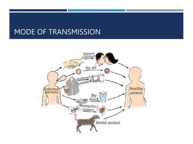 Modes of transmission of diseases m .pptx | Infectious Diseases | Diseases and Conditions