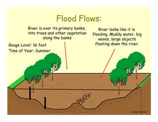 Moderate River Flows May Cause Drownings | PDF