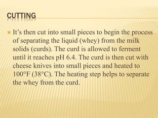 Modern Cheese-Making | PPTX