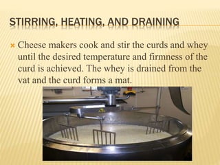 Modern Cheese-Making | PPTX