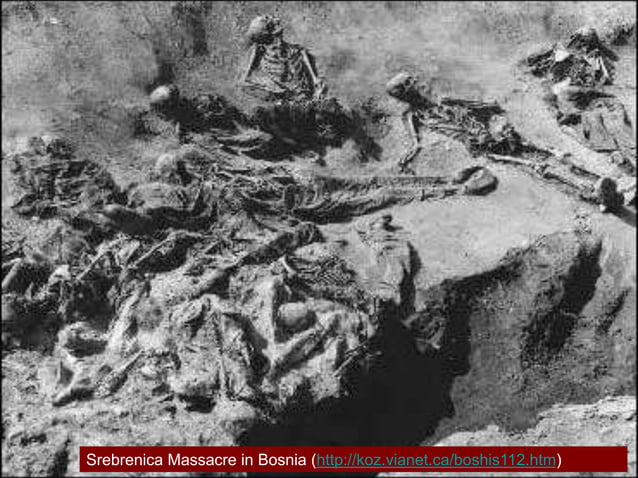 Modern day genocide | PPT