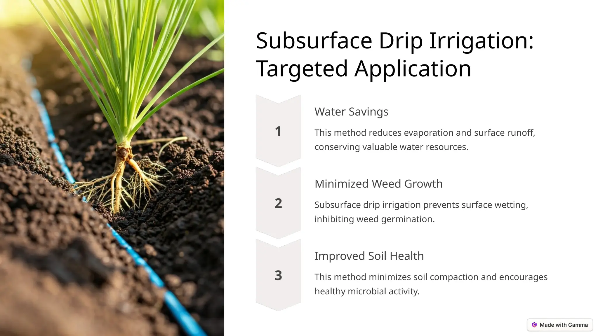 Modern-Irrigation-Methods-A-Comprehensive-Guide.pptx