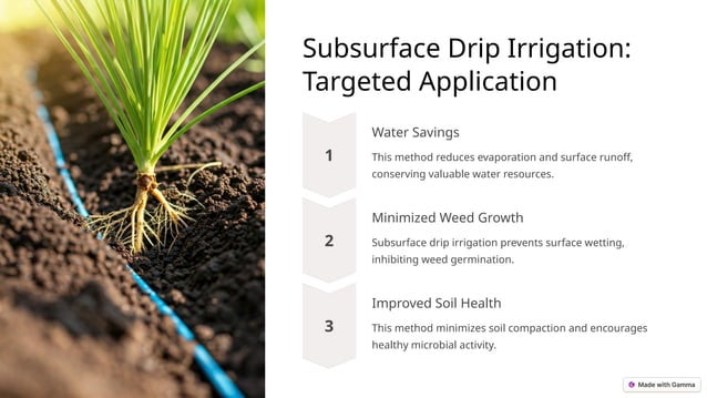 Modern-Irrigation-Methods-A-Comprehensive-Guide.pptx