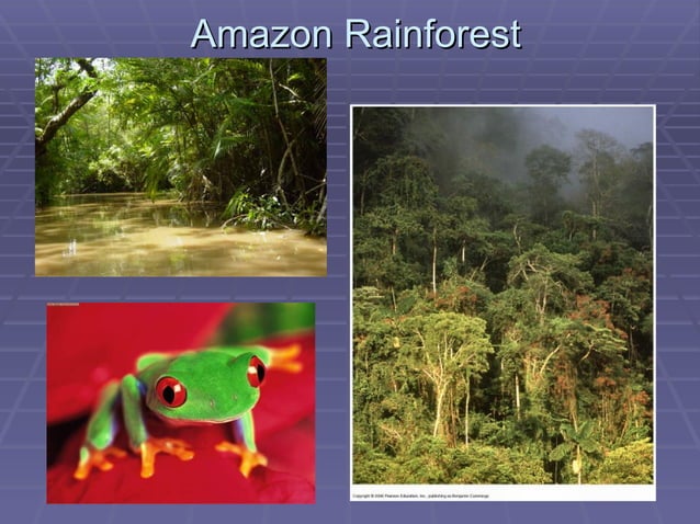 Modern Latin America | PPT