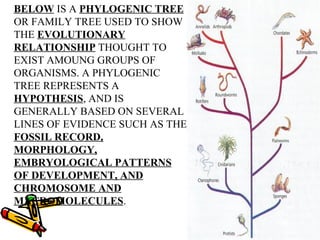 Modern Phylogenetic Taxonomy Notes | PPT | Biological Sciences | Science